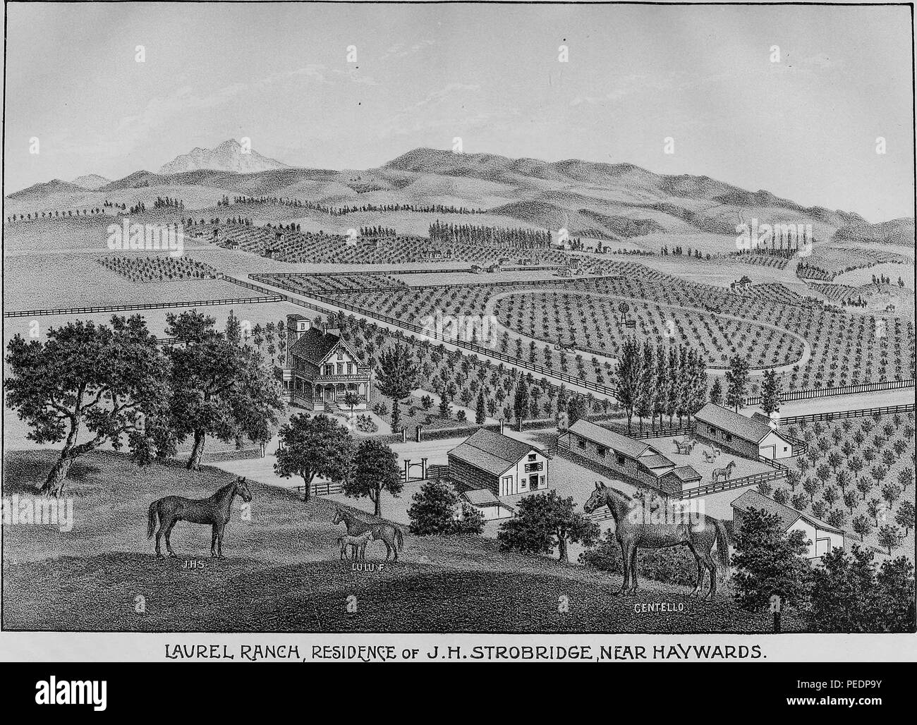 Jh strobridge hi-res stock photography and images - Alamy