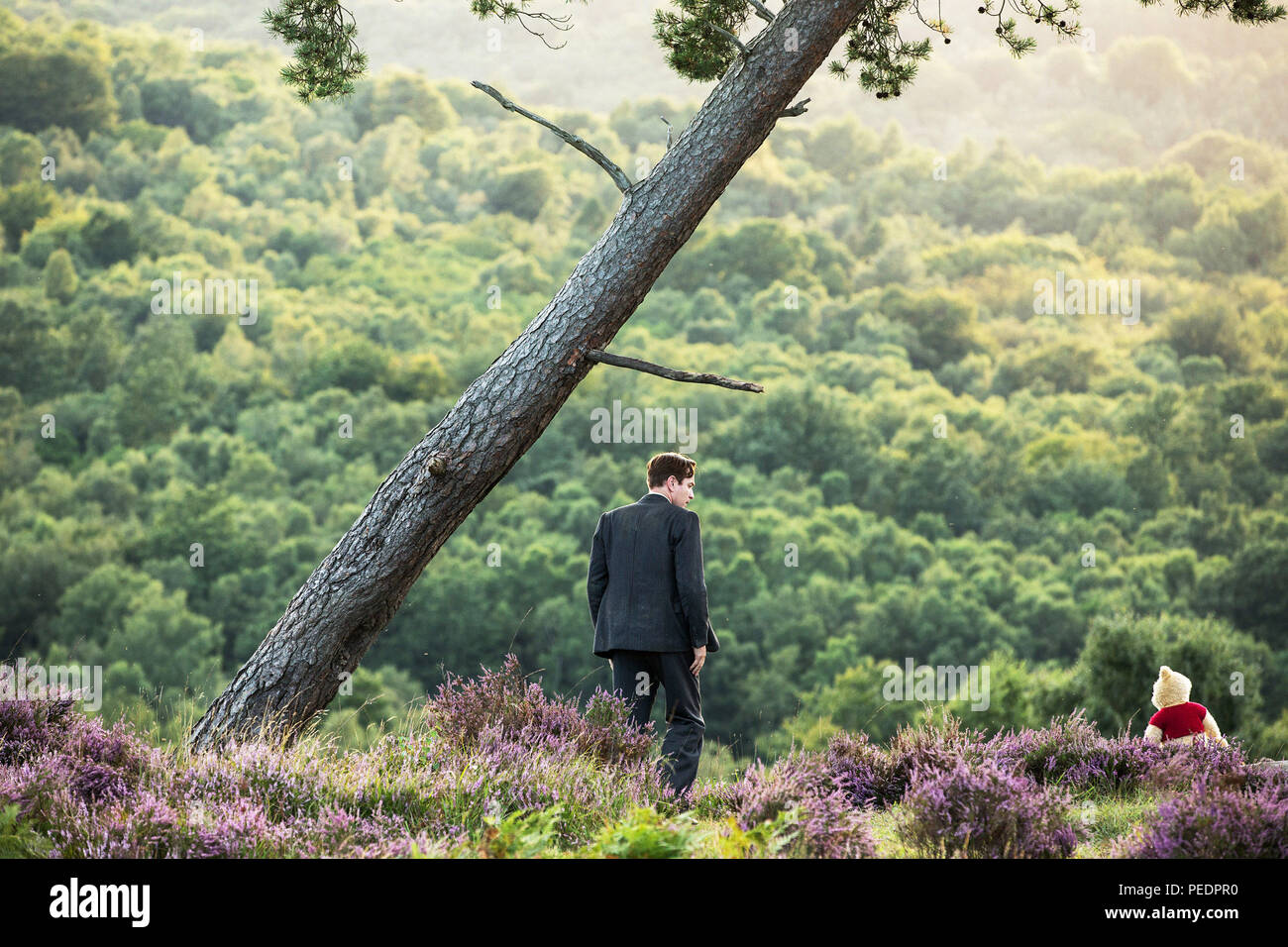 CHRISTOPHER ROBIN, l-r: Ewan McGregor as Christopher Robin, Winnie the ...