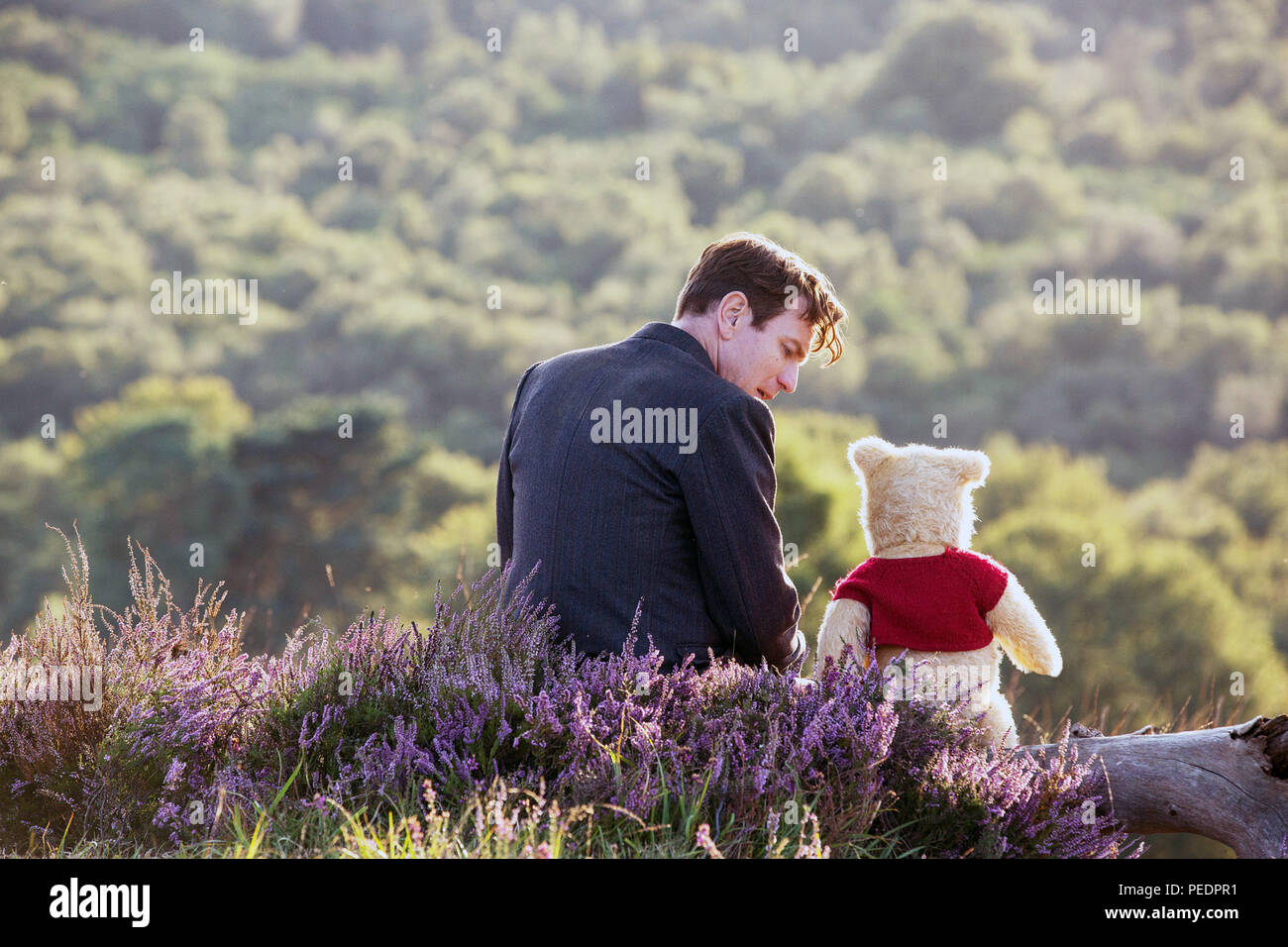 CHRISTOPHER ROBIN, l-r: Ewan McGregor as Christopher Robin, Winnie the ...
