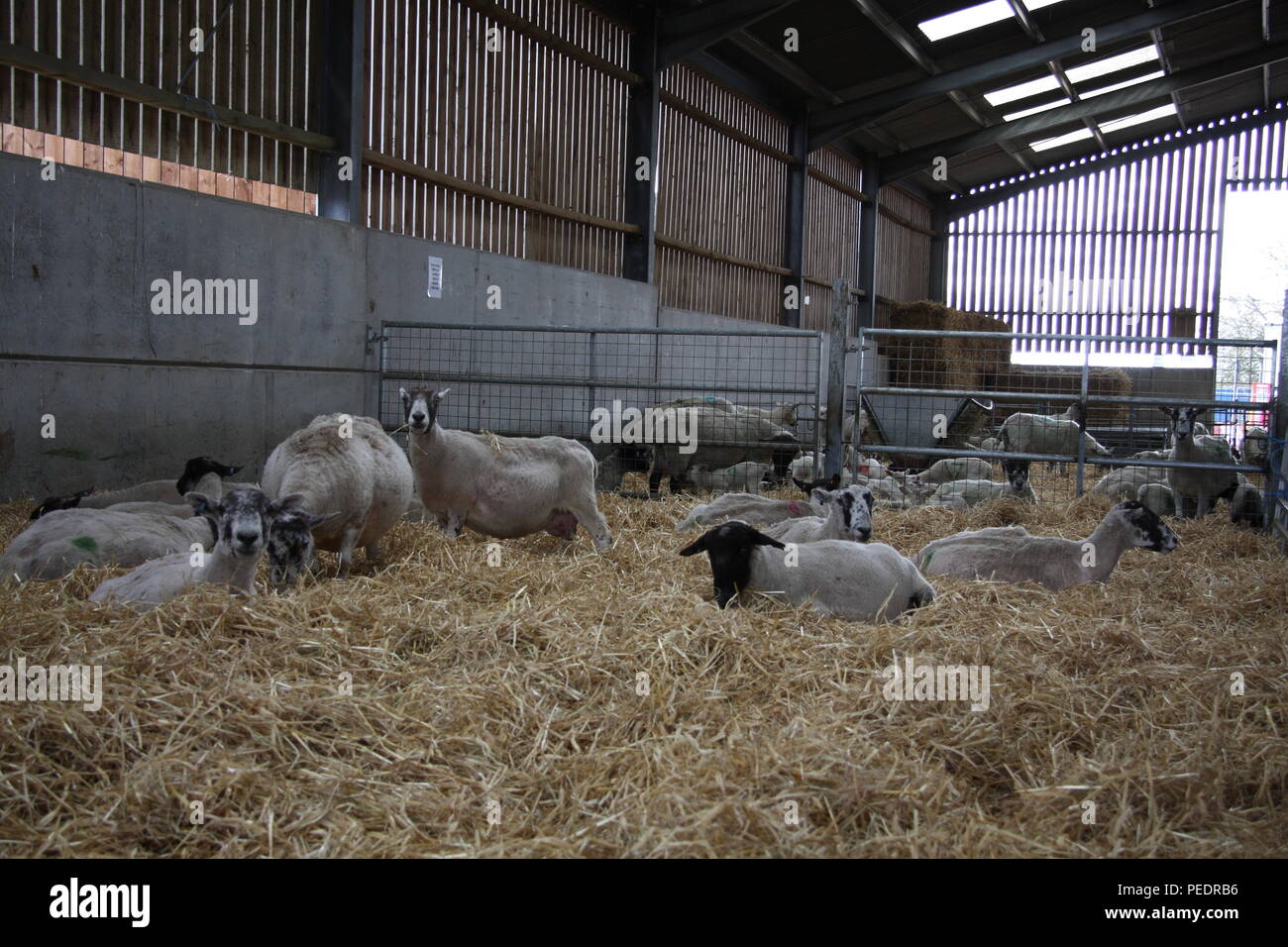 Waiting Shed High Resolution Stock Photography and Images - Alamy