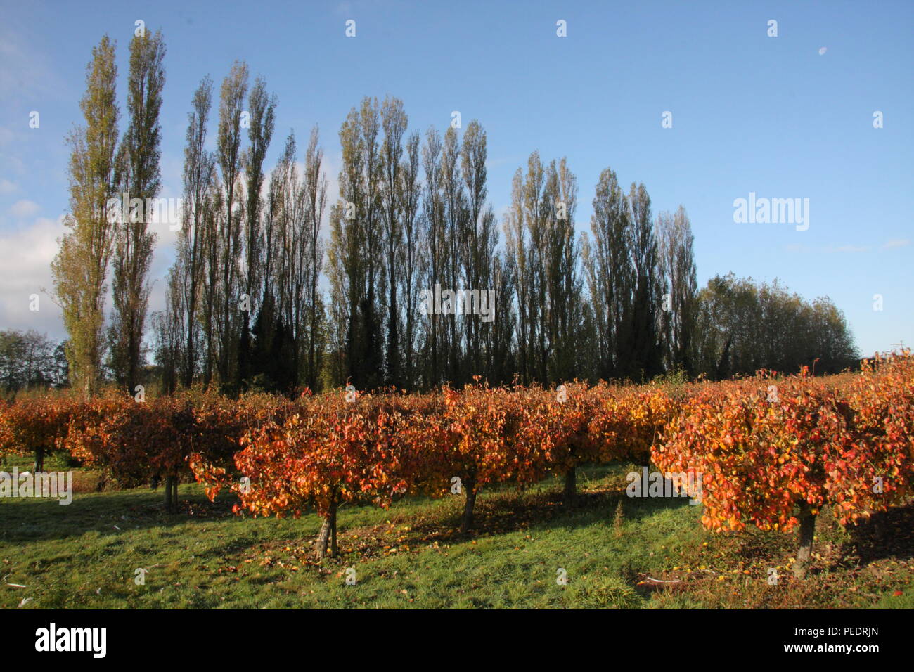 Acting as a wind break hi-res stock photography and images - Alamy