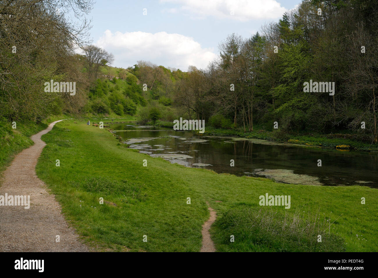 Lathkill Dale in Derbyshire England UK, scenic river valley, Peak ...