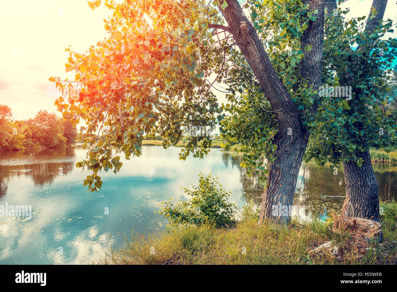 Rainforest lake view trees clouds hi-res stock photography and images ...