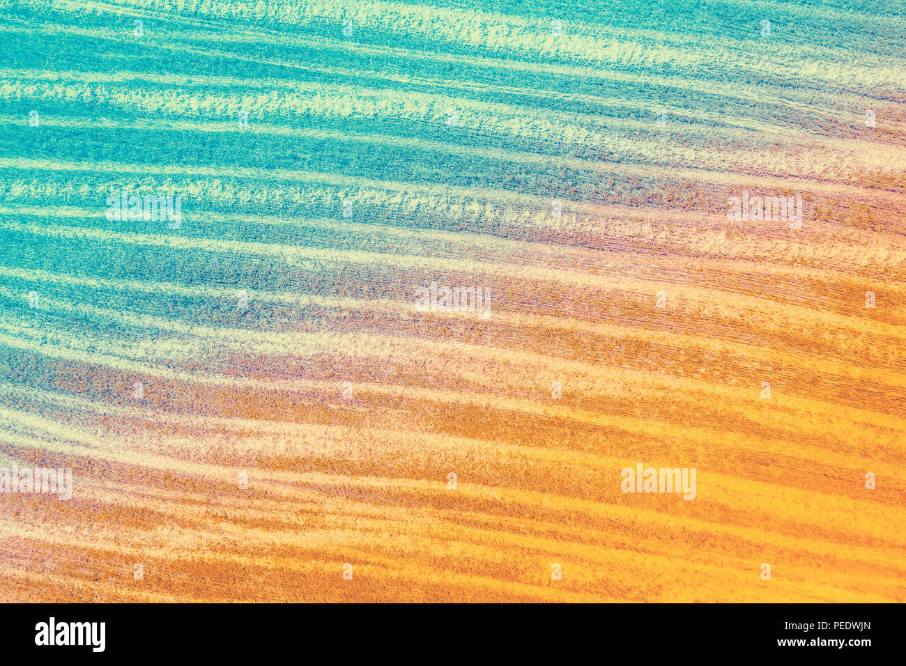 Aerial view of geometric wheat fields. Abstract natural background ...