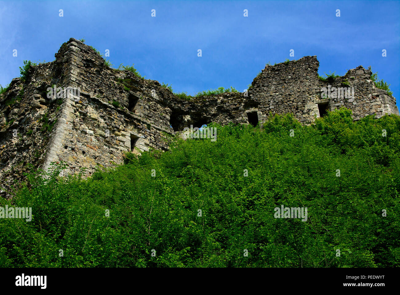 Ancient ruins of the castle of the town of Khust (Dracula Castle). a ...
