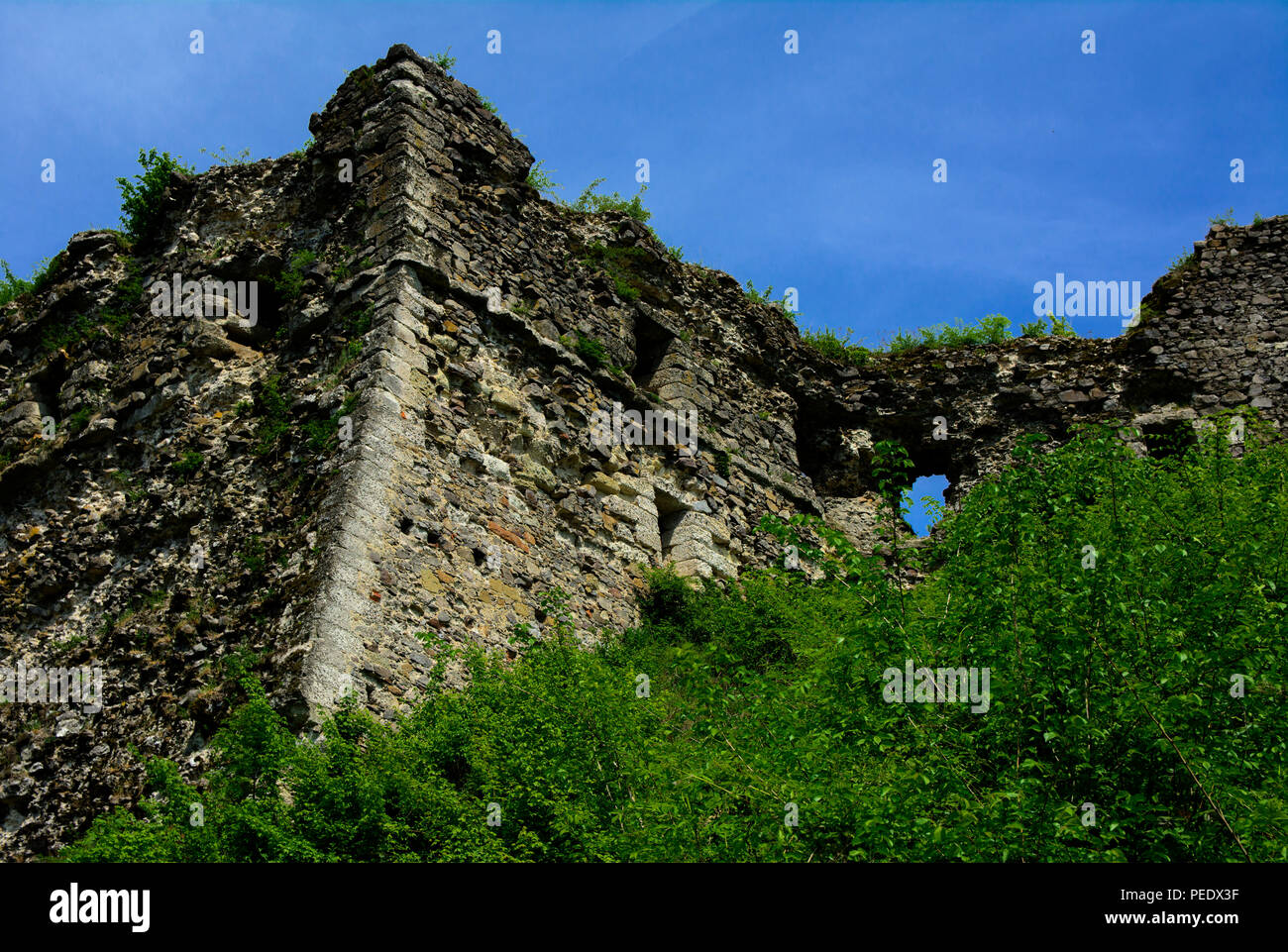 Ancient ruins of the castle of the town of Khust (Dracula Castle). a ...