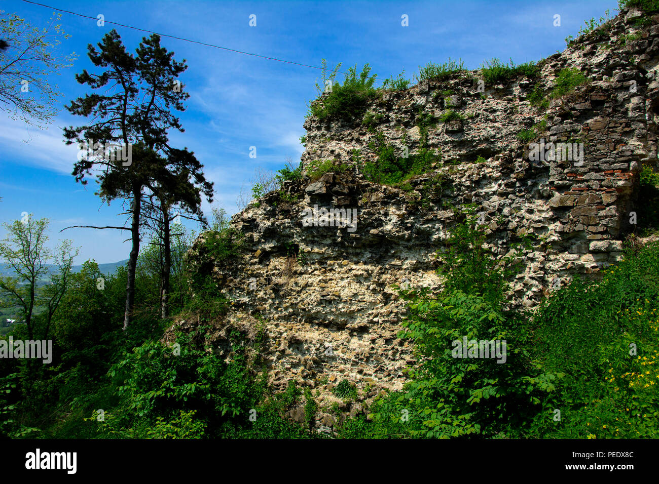 Ancient ruins of the castle of the town of Khust (Dracula Castle). a ...