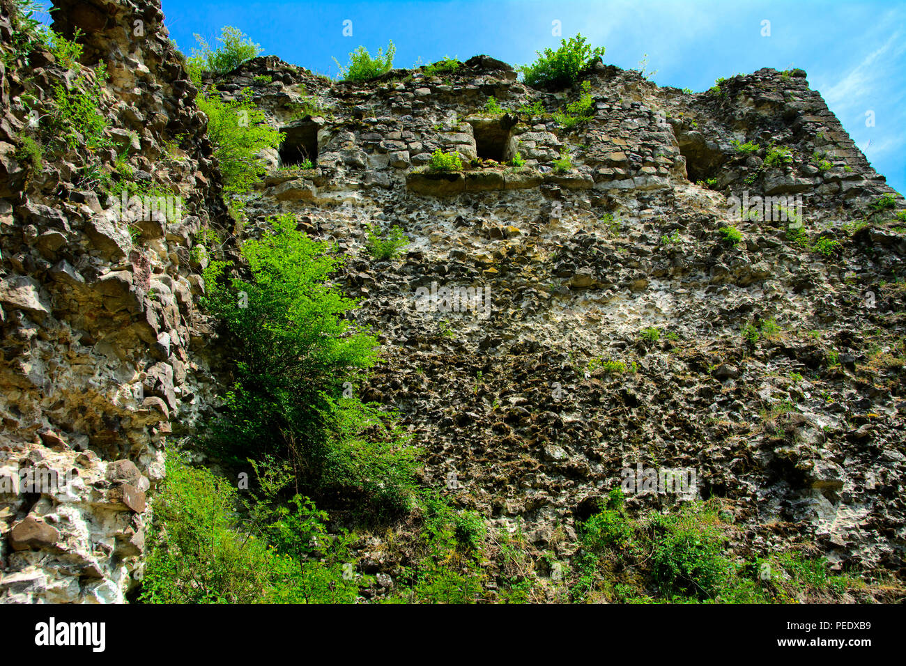 Ancient ruins of the castle of the town of Khust (Dracula Castle). a ...