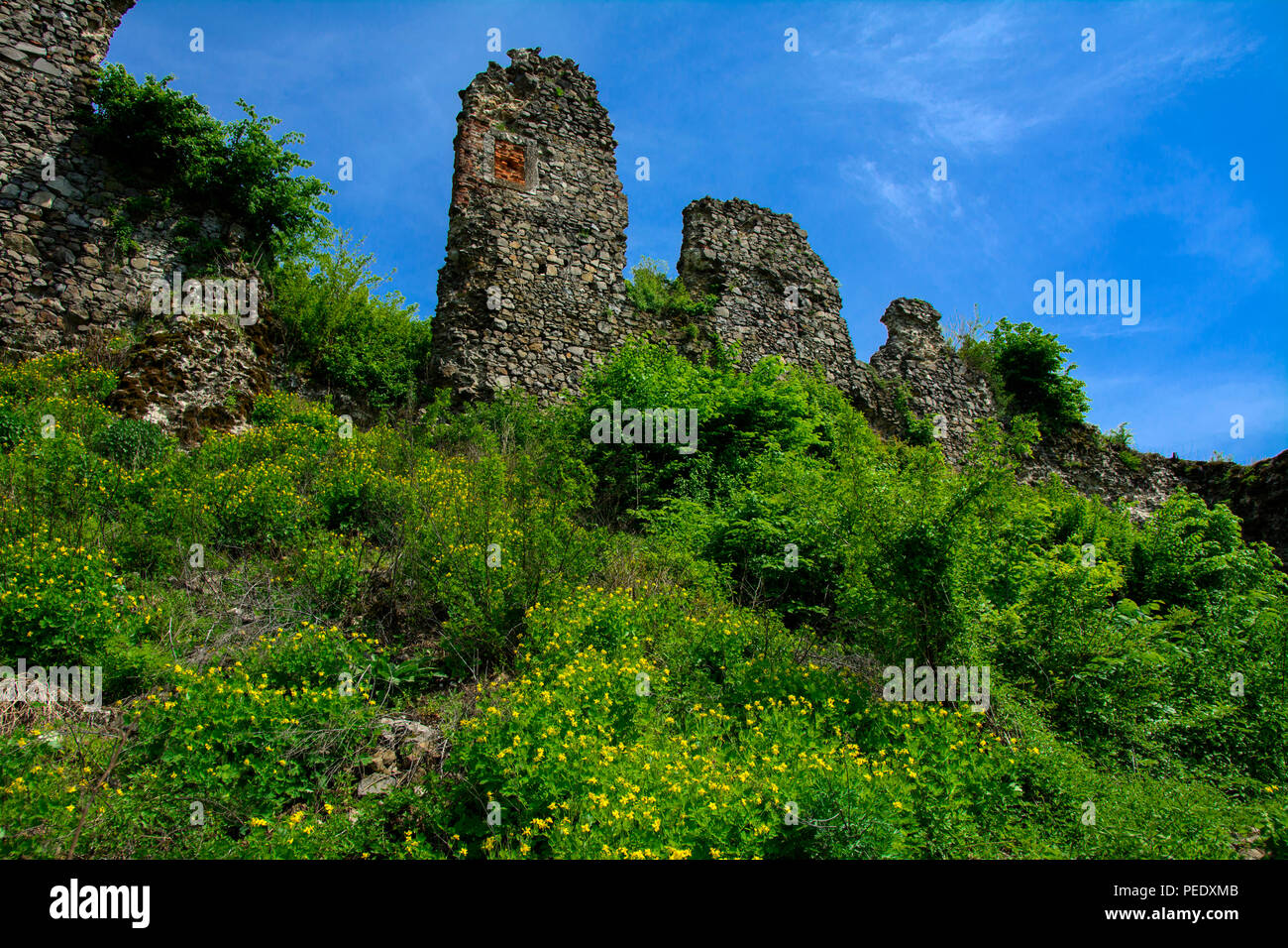 Ancient ruins of the castle of the town of Khust (Dracula Castle). a ...