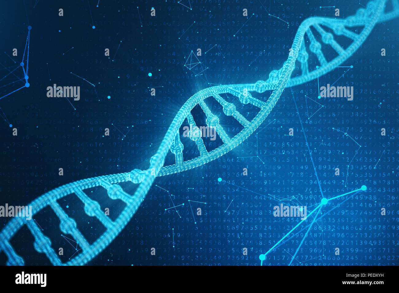 Dna Structure Diagram 3d