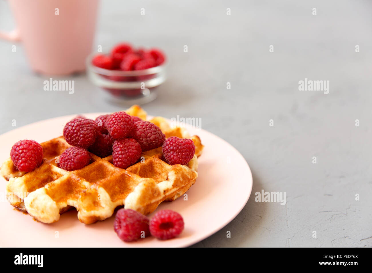 Traditional belgian waffle with raspberries on pink plate over gray ...