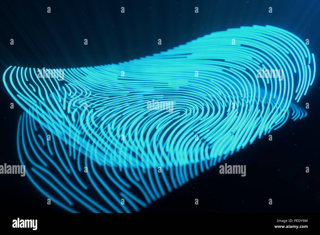 3D illustration Fingerprint scan provides security access with biometrics identification ...