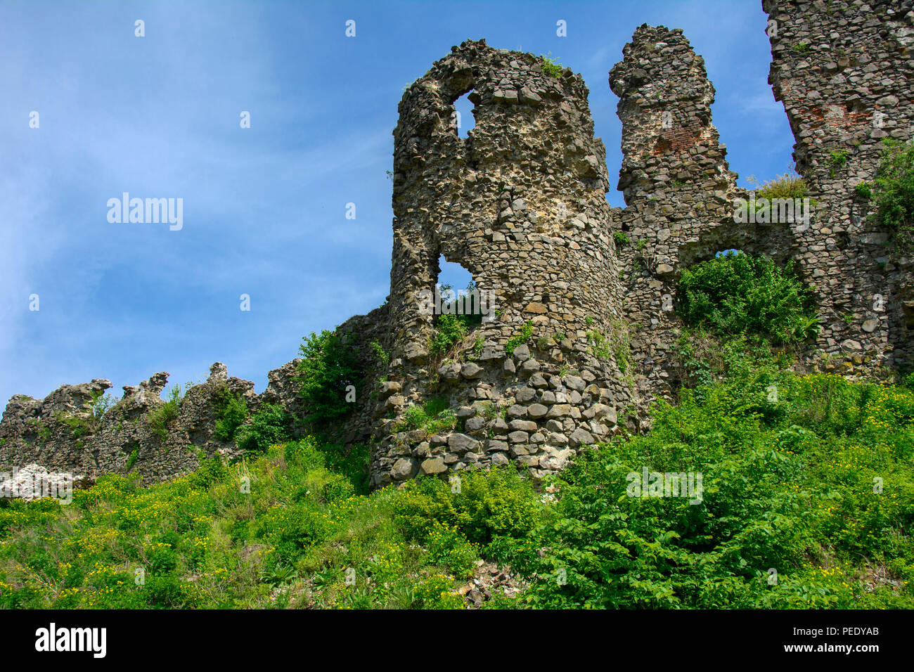 Ancient ruins of the castle of the town of Khust (Dracula Castle). a ...