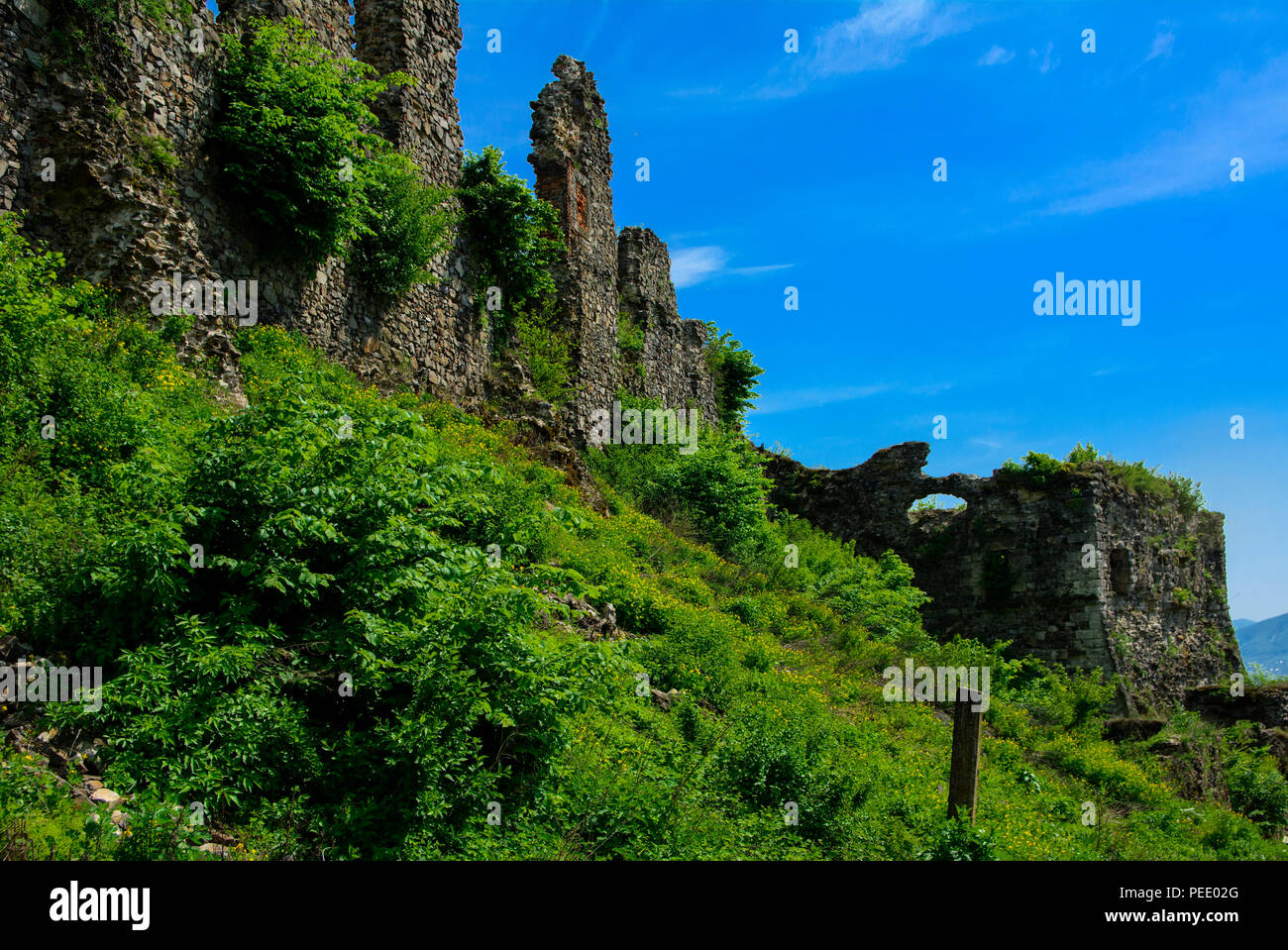 Ancient ruins of the castle of the town of Khust (Dracula Castle). a ...