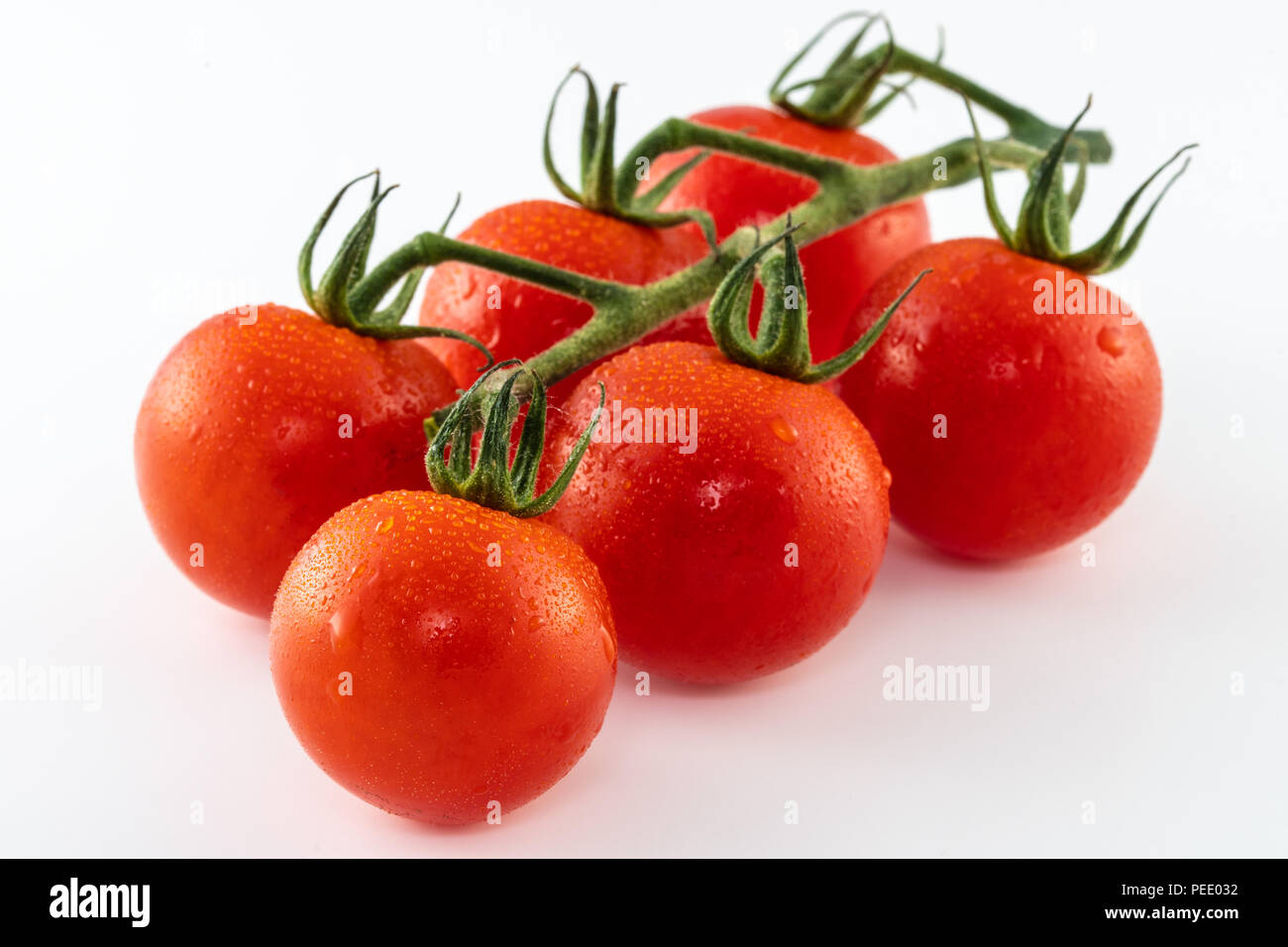 Tomatoes on the vine isolated on a white background Stock Photo - Alamy