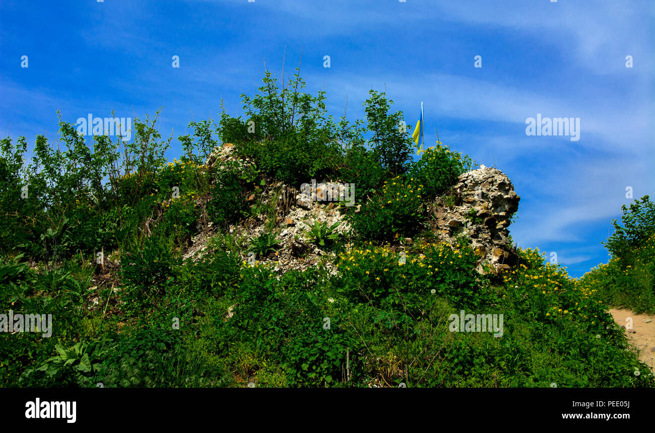 Ancient ruins of the castle of the town of Khust (Dracula Castle). a ...