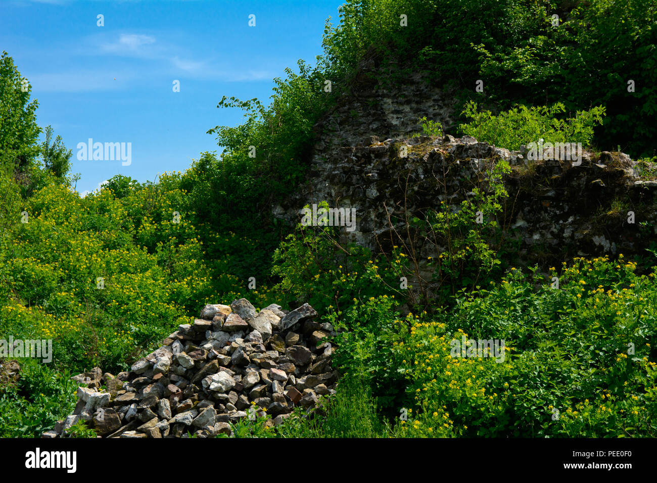 Ancient ruins of the castle of the town of Khust (Dracula Castle). a ...