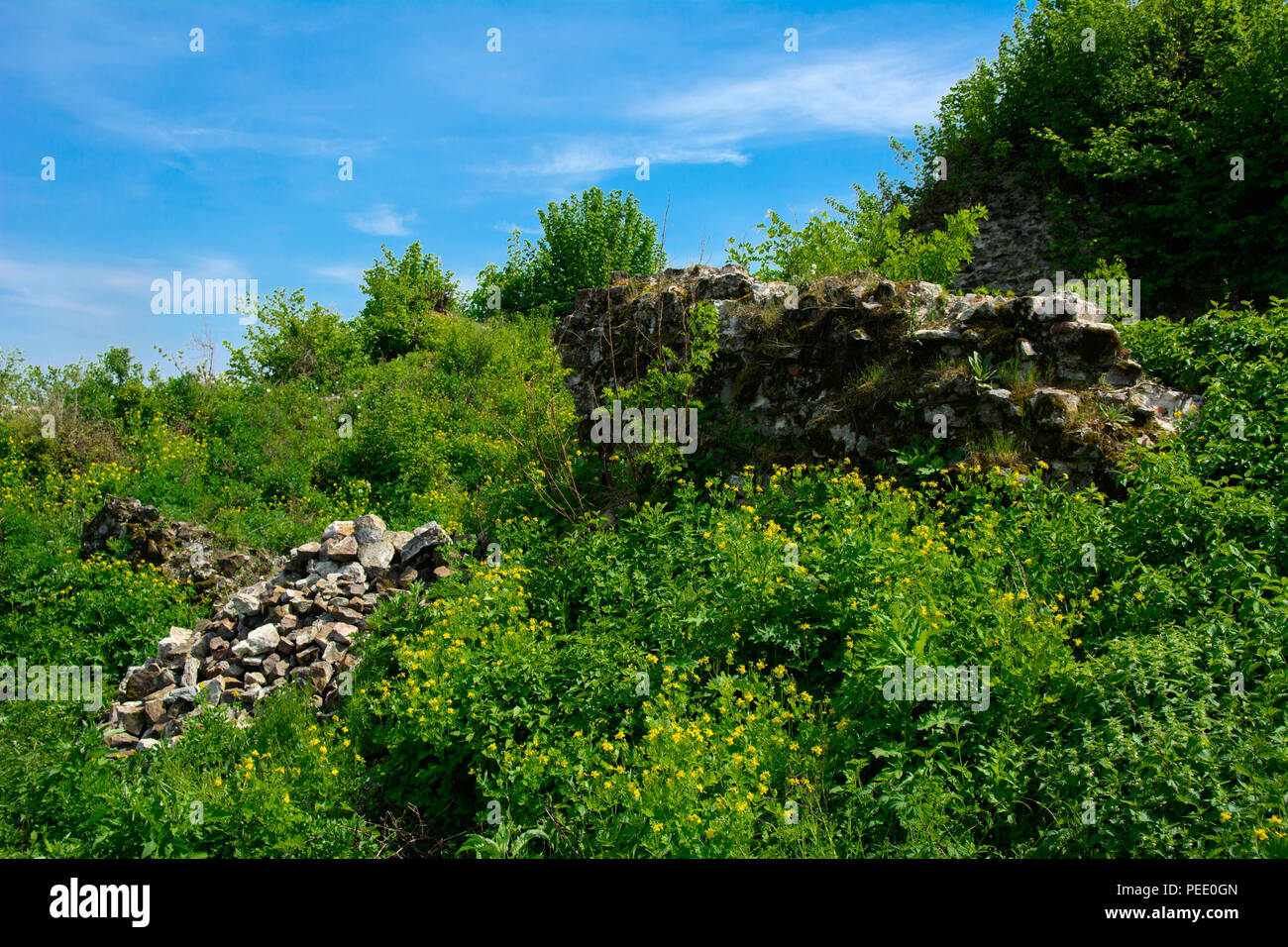 Ancient ruins of the castle of the town of Khust (Dracula Castle). a ...