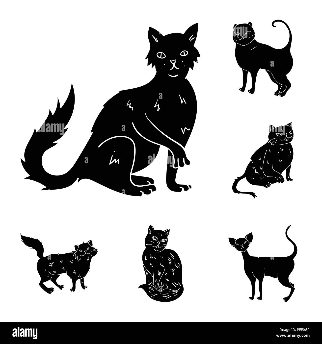 Breeds of cats black icons in set collection for design. Pet cat vector ...