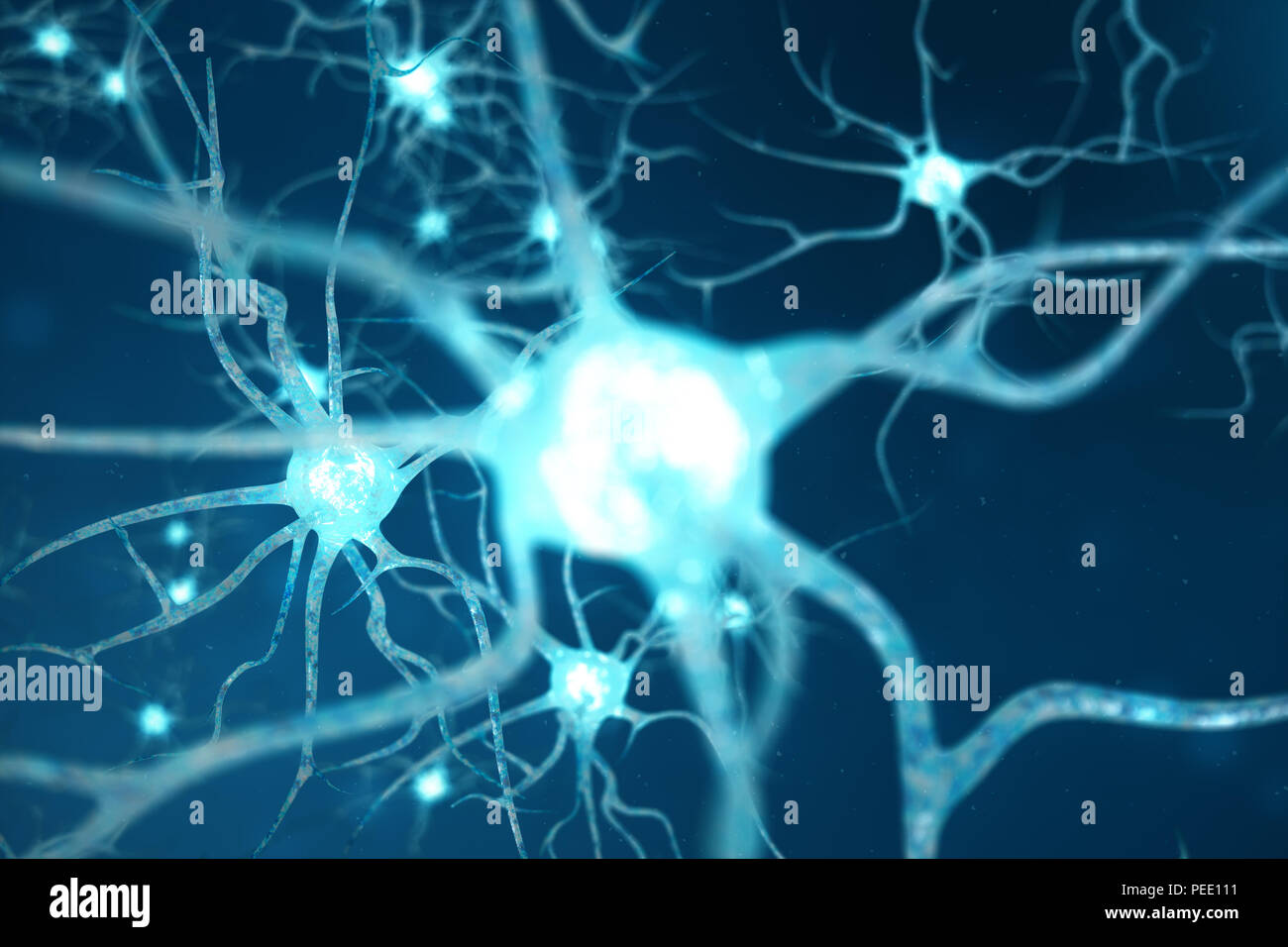 Nerve Synapse Animation