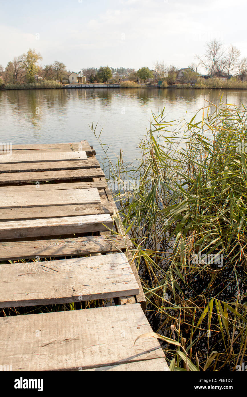 River bank, river landscape, fishing spot, nature Stock Photo - Alamy