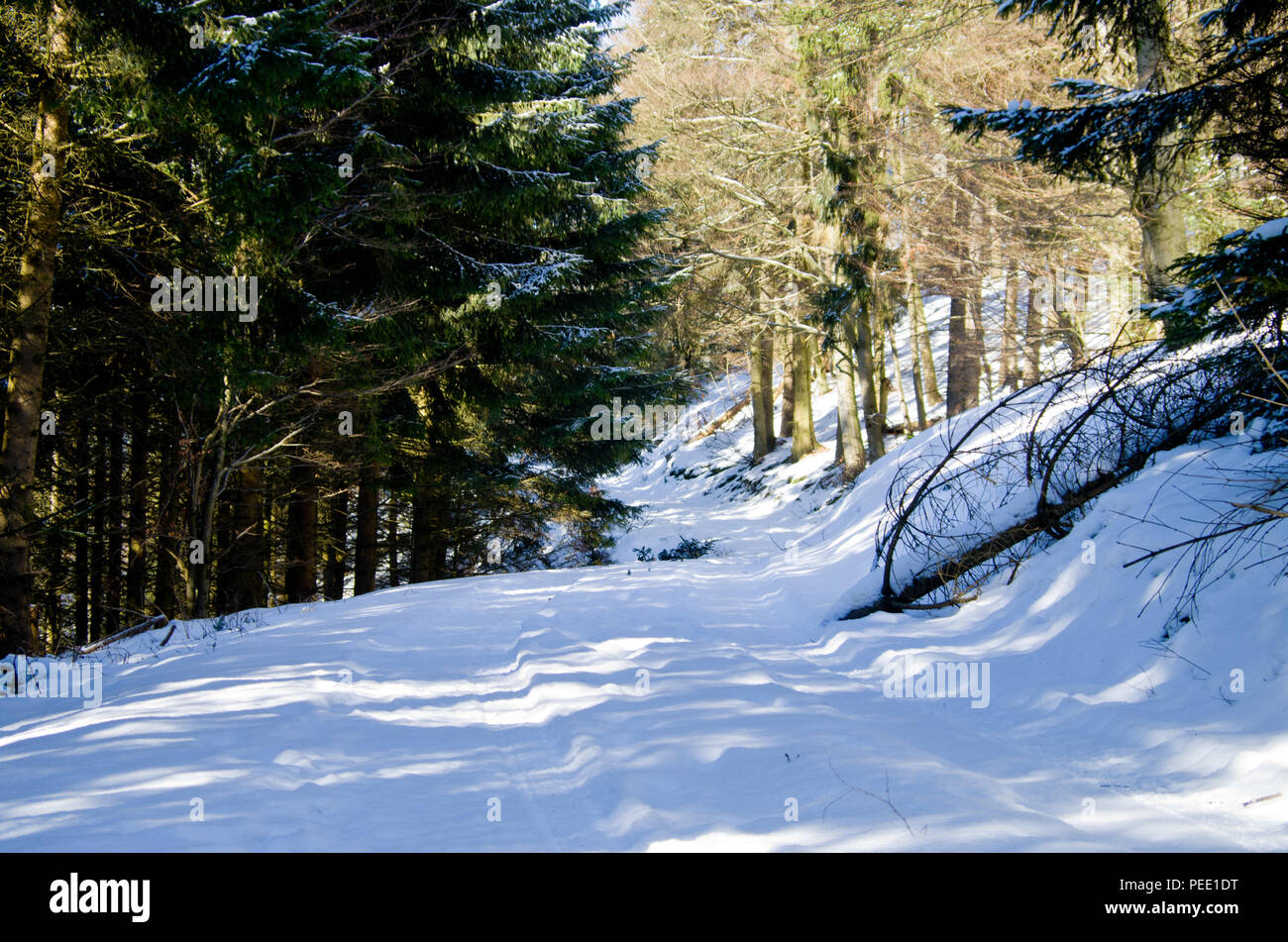 Winterberg altastenberg hi-res stock photography and images - Alamy
