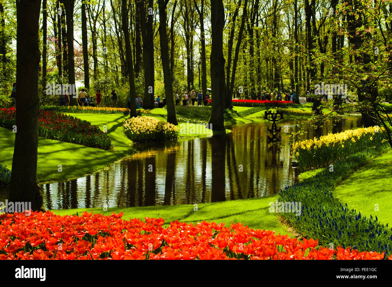 Tulips at Keukenhof Holland Stock Photo - Alamy