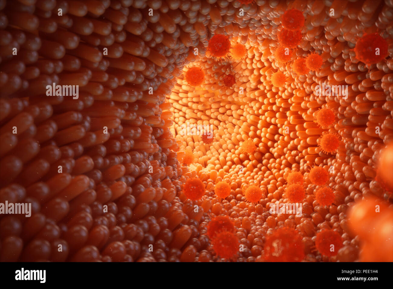 3d illustration Intestinal villi. Intestine lining. Microscopic villi ...