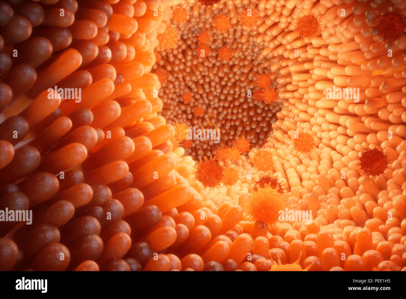 3d illustration Intestinal villi. Intestine lining. Microscopic villi ...