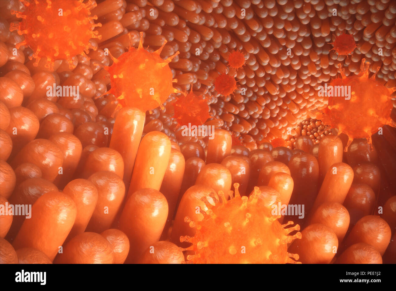 3d illustration Intestinal villi. Intestine lining. Microscopic villi ...