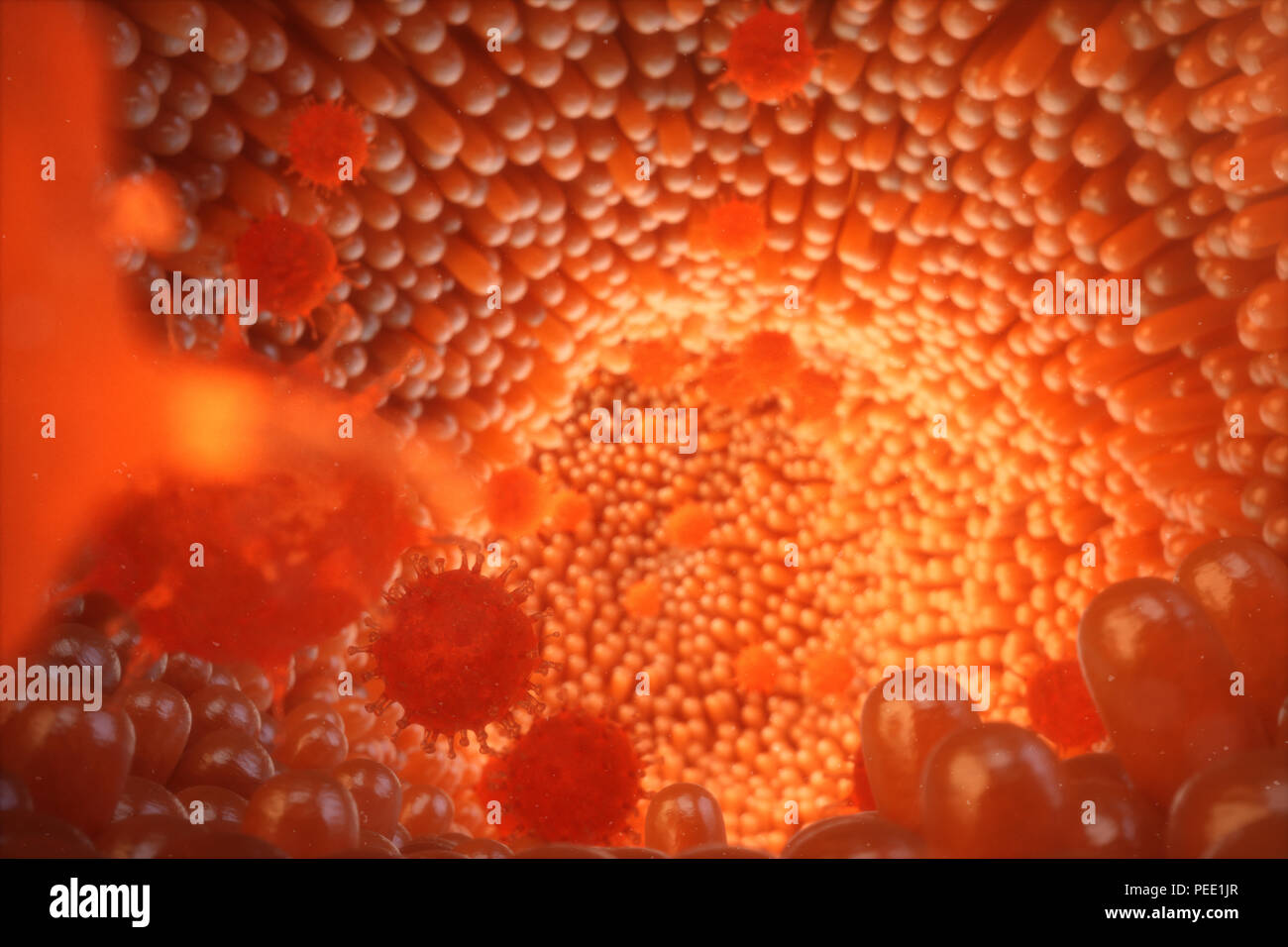 3D illustration Intestinal villi. Intestine lining. Microscopic ...