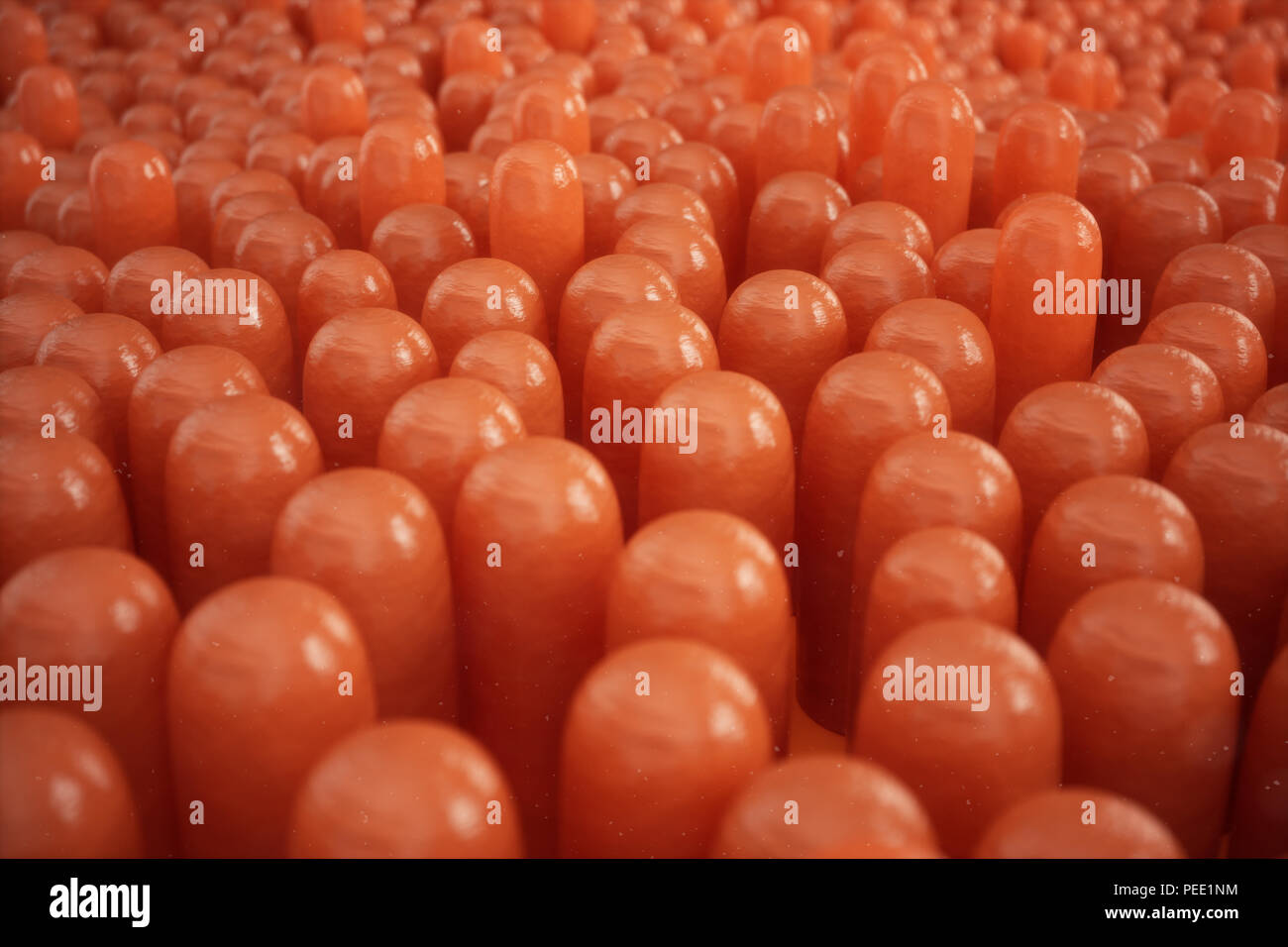 3D illustration Intestinal villi. Intestine lining. Microscopic ...