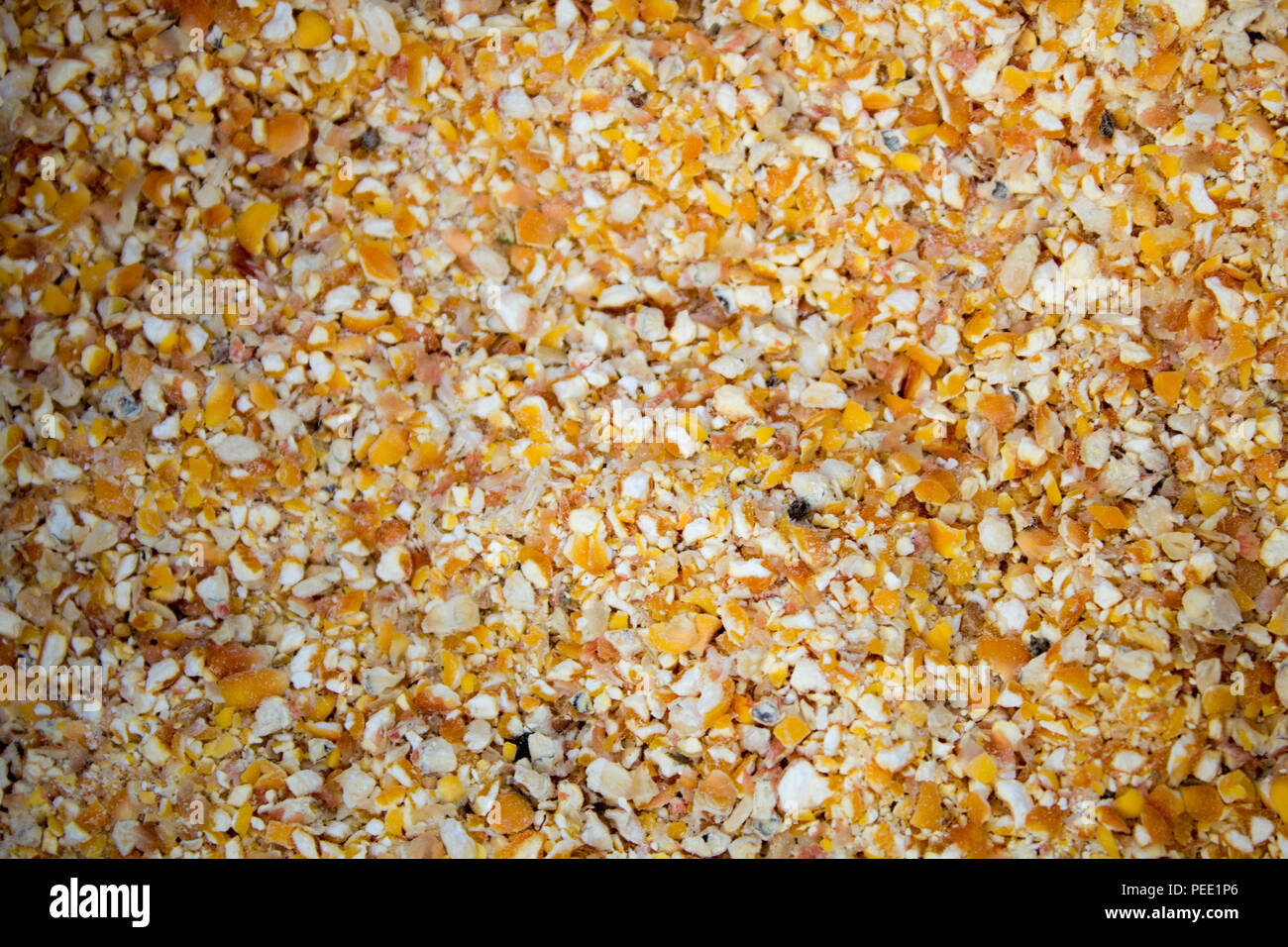 Corn bran, grind corn, fodder for farm animals Stock Photo - Alamy