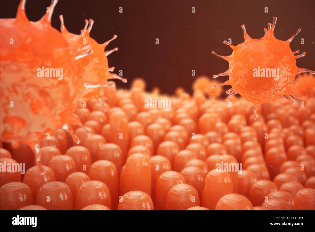 3d illustration Intestinal villi. Intestine lining. Microscopic villi ...