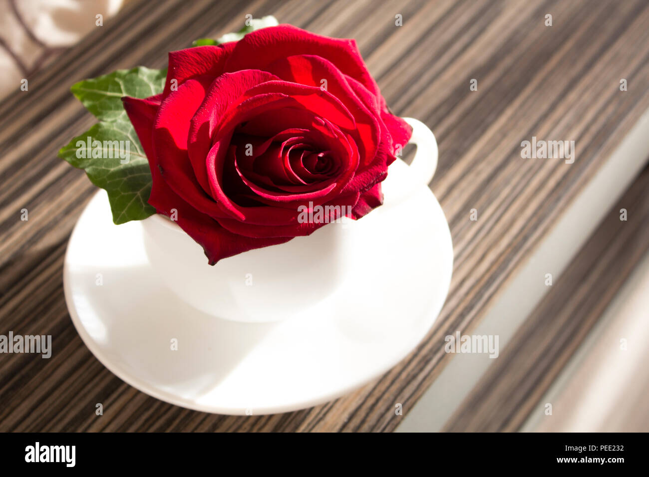 Red rose in the white cup, romance Stock Photo - Alamy