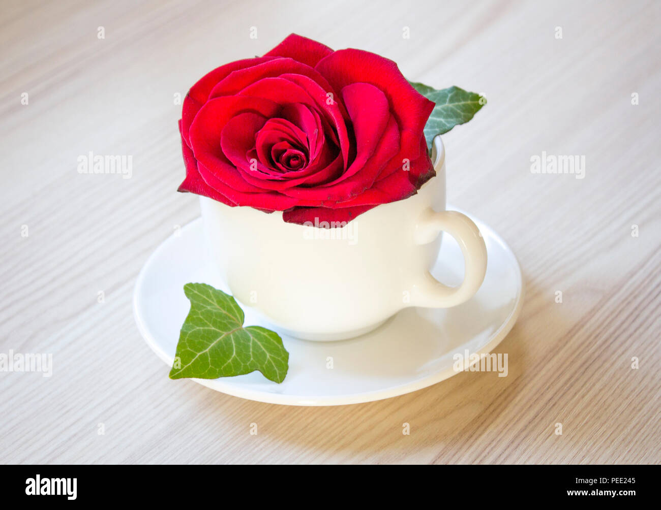 White rose aerial hi-res stock photography and images - Alamy