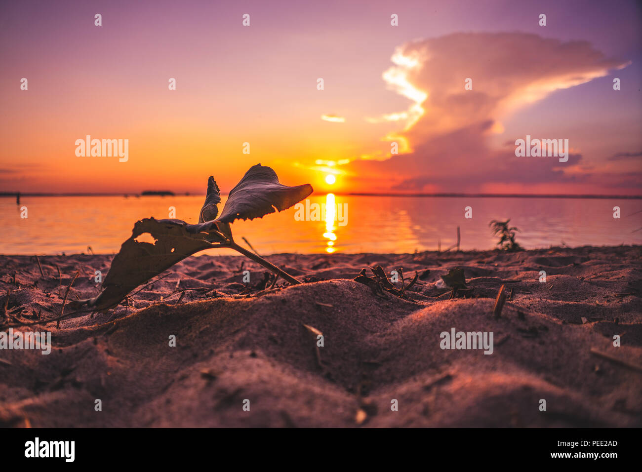 Dargin hi-res stock photography and images - Alamy