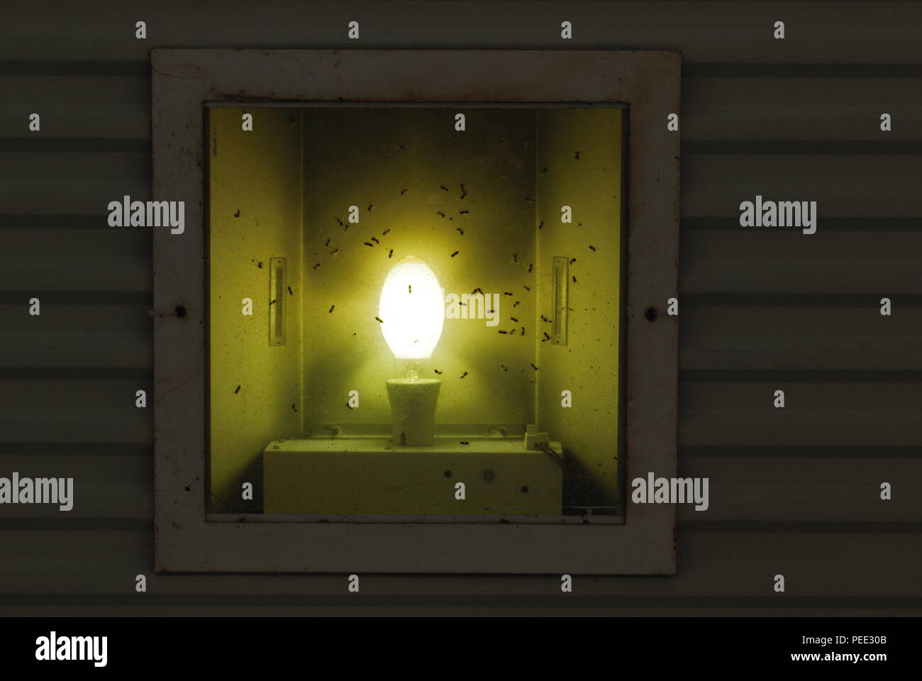 Ecological light bulb environmental hi-res stock photography and images ...