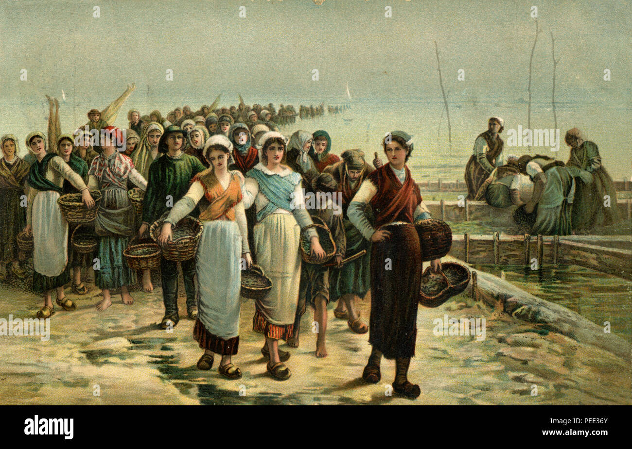 Return of the oystercatcher (Retour de la peche aux huitres), color ...