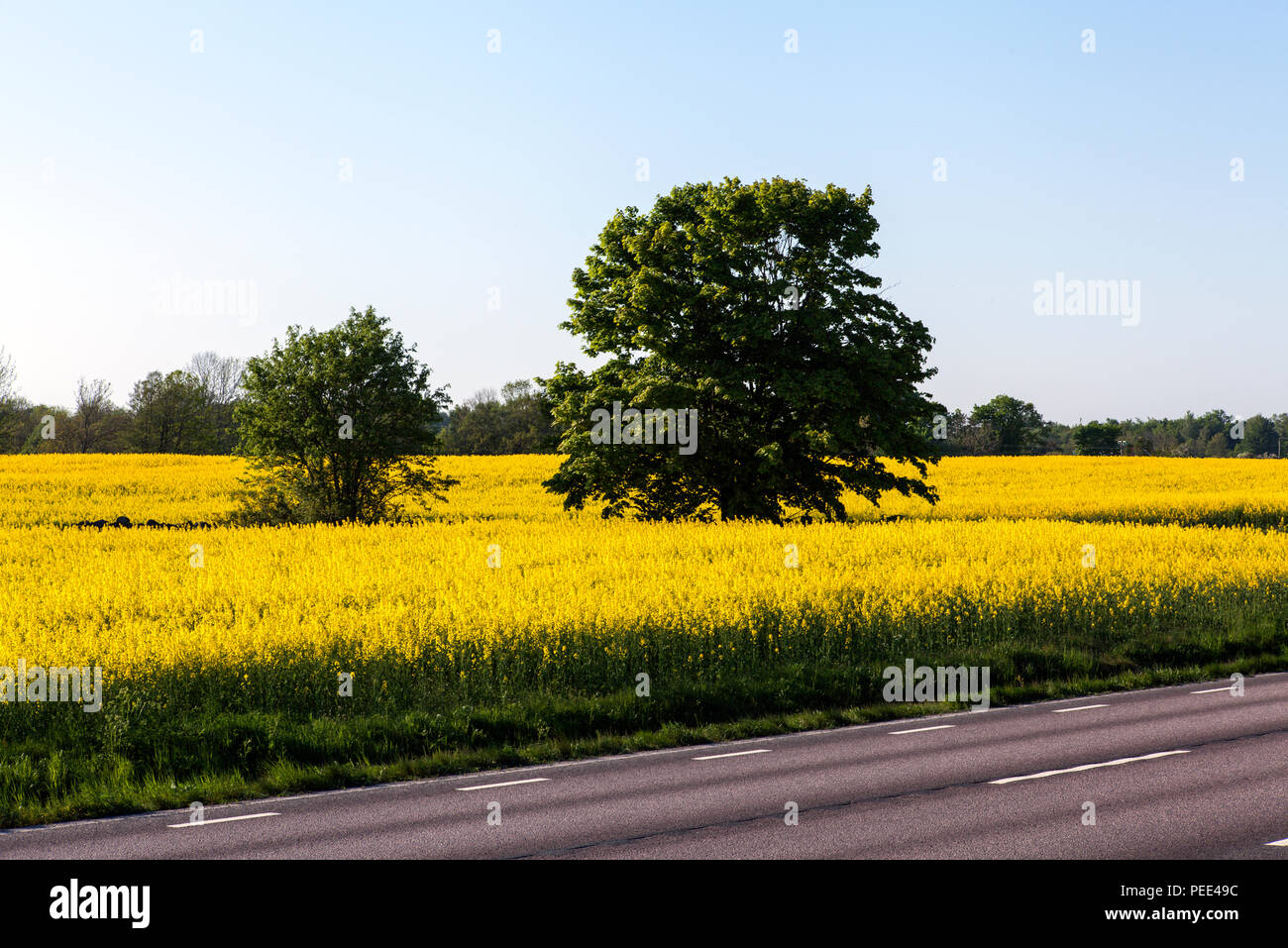 Colorful farming, agriculture area in spring. Highway this side Stock ...