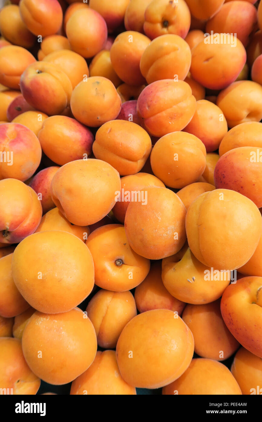 Close up of fresh Apricots, fresh fruit, healthy orange apricot Stock ...