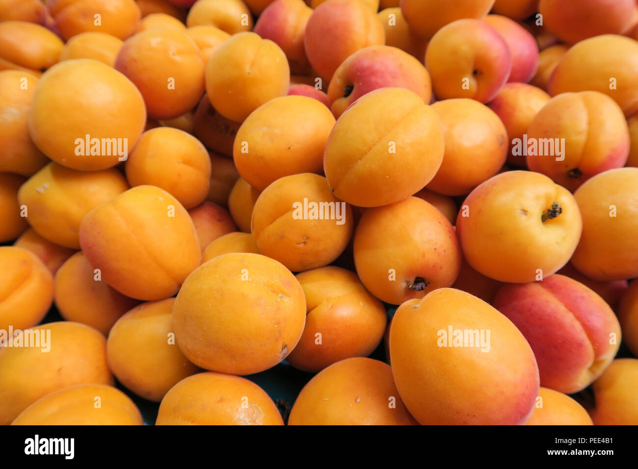 Soft apricots hi-res stock photography and images - Alamy