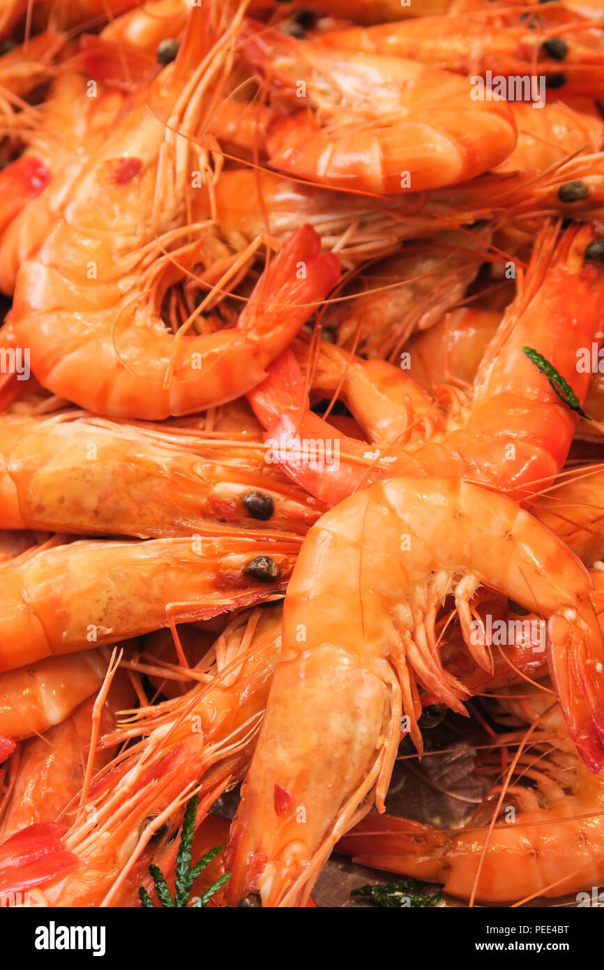 Red sea king prawns hi-res stock photography and images - Alamy