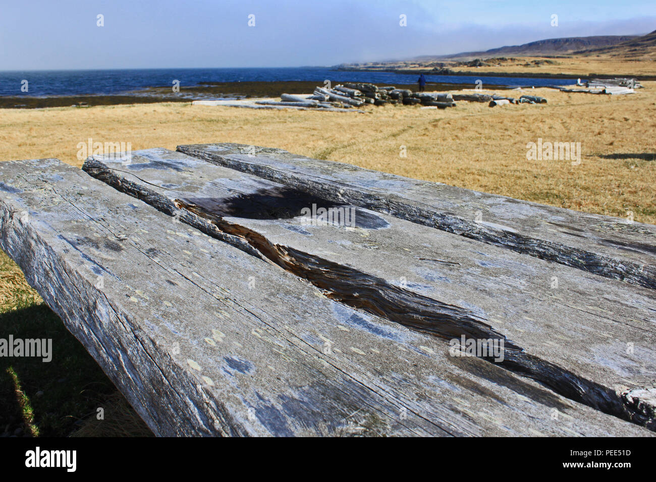 Weather beaten wood. Northern Fjords, Iceland Stock Photo - Alamy
