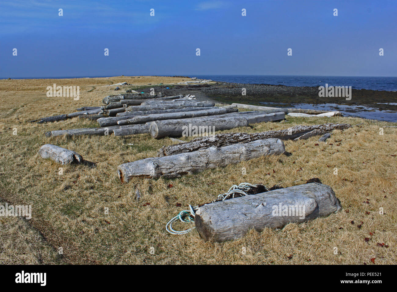 Weather beaten coastline hi-res stock photography and images - Alamy