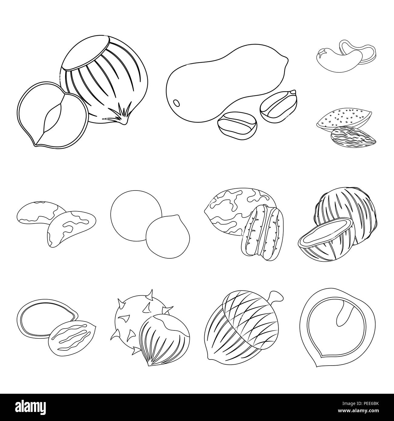 Different kinds of nuts outline icons in set collection for design.Nut ...