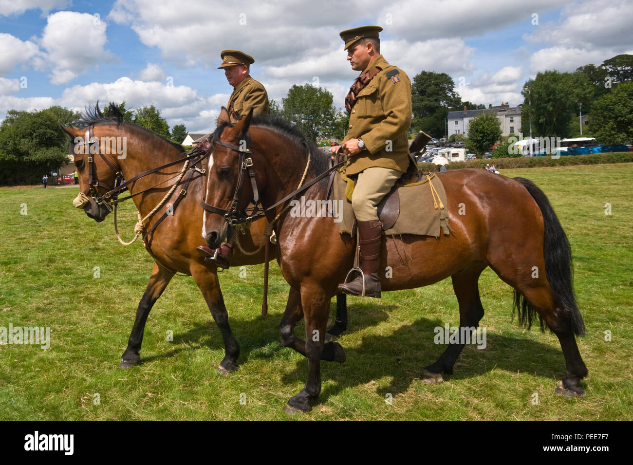 British Horses Wwi Stock Photos & British Horses Wwi Stock Images - Alamy