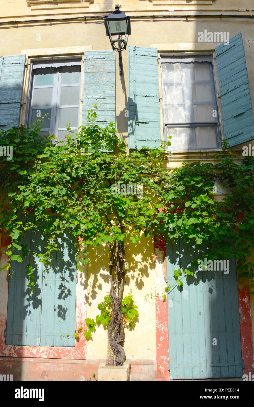 Traditional french windows green hi-res stock photography and images ...