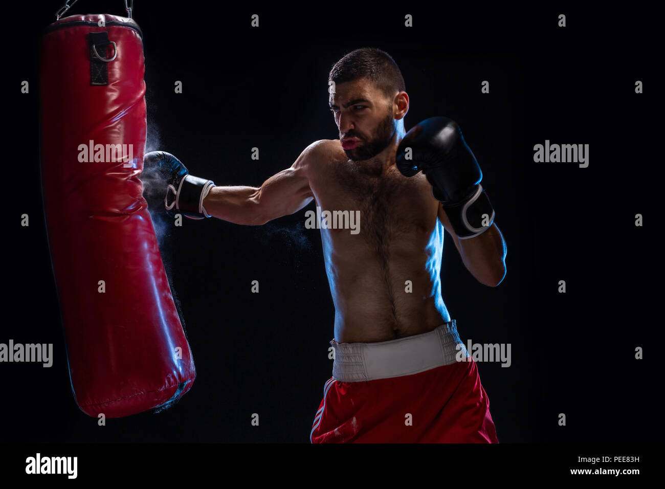 Bearded male boxer training with punching bag on black background. Male ...