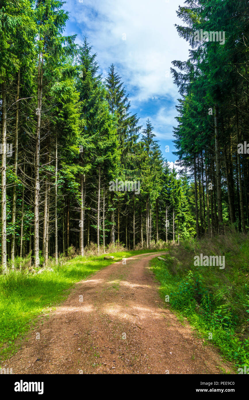 Trail dirt track in hi-res stock photography and images - Alamy